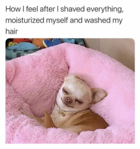 30 Funny Self Care Memes That Are Oh So Relatable